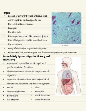 Medical Terminology 3 - Module 1: Basic Word StructureModule 1: Basic ...