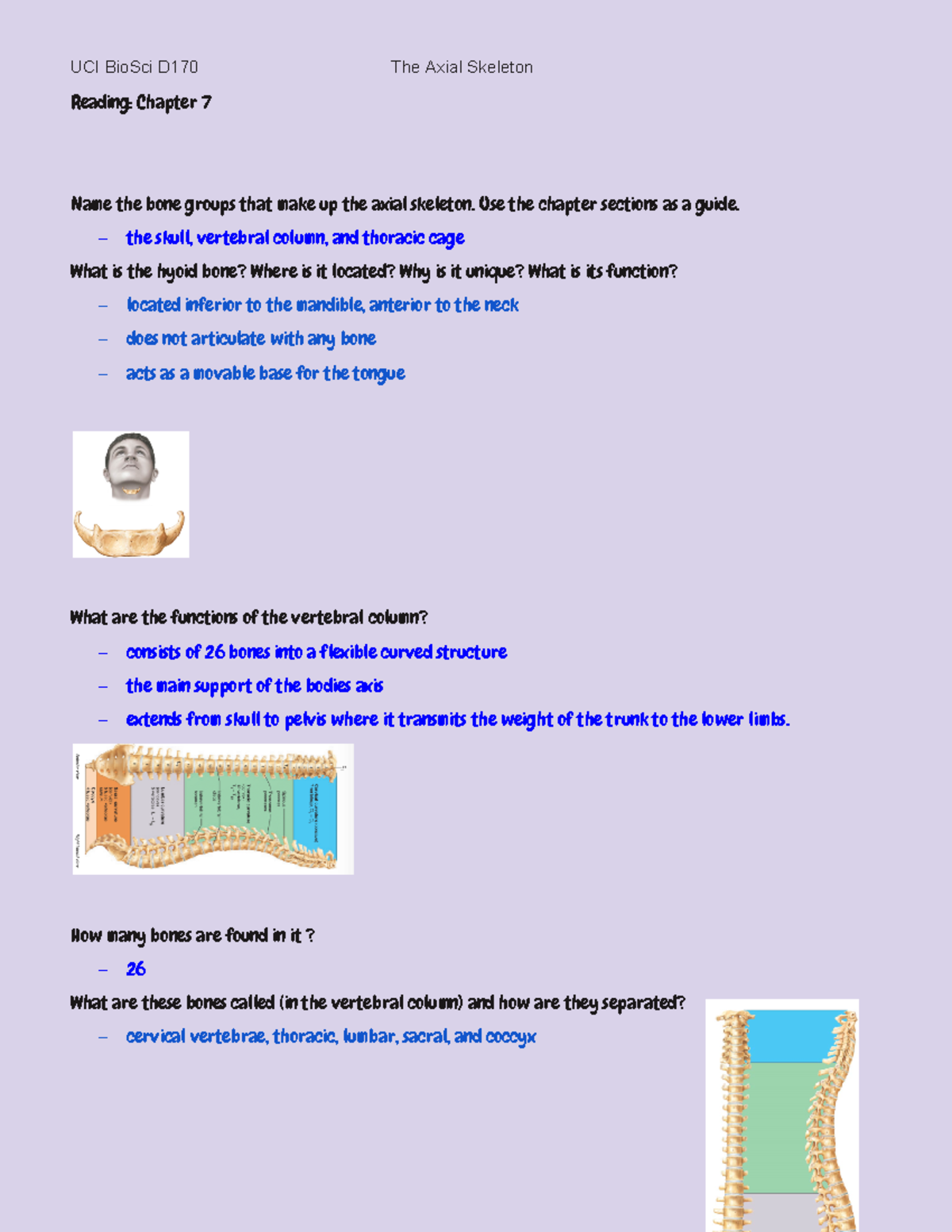Reading 6 Axial Skeleton - UCI BioSci D170 The Axial Skeleton Reading ...