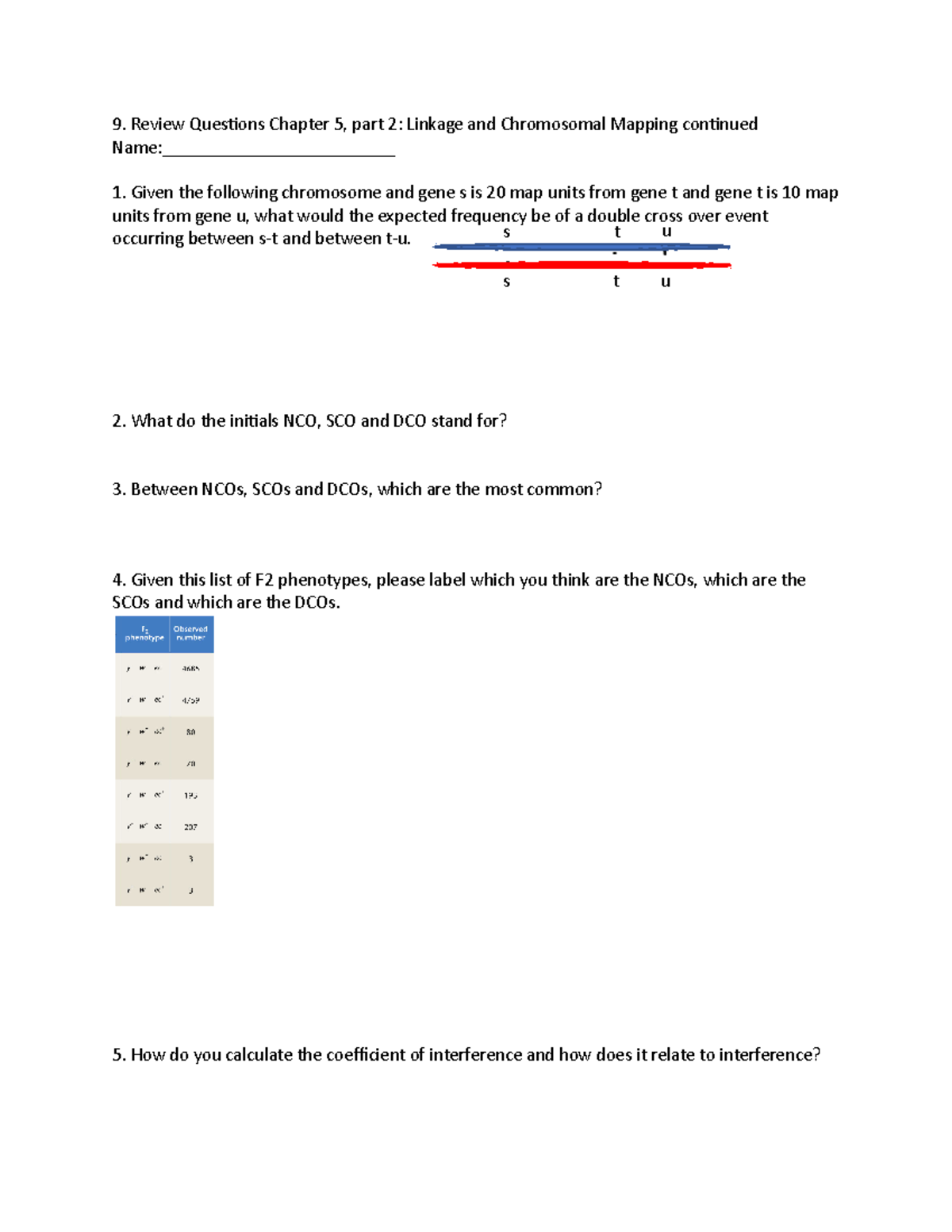 Review Questions Chromosomal Mapping and Linkage, part 2 - s t s t u u ...