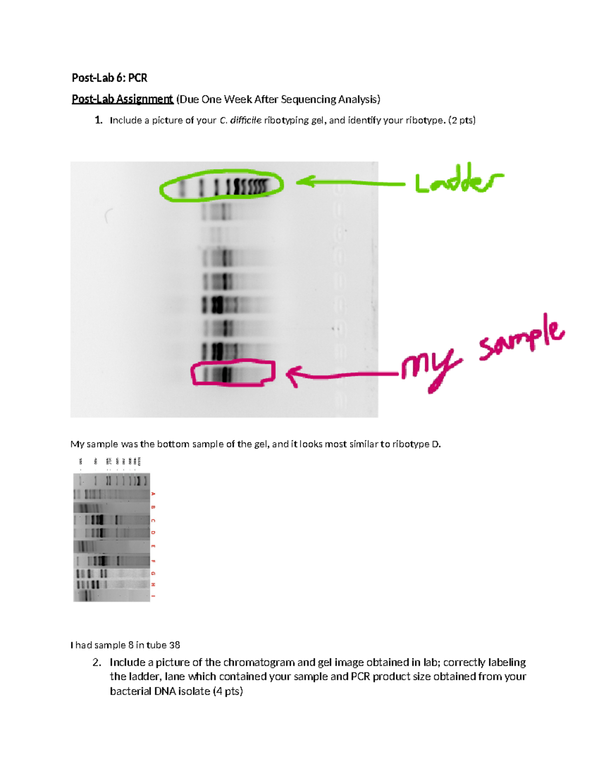 Post Lab 6 AK - This postlab is for our DNA sequencing module. I got a ...
