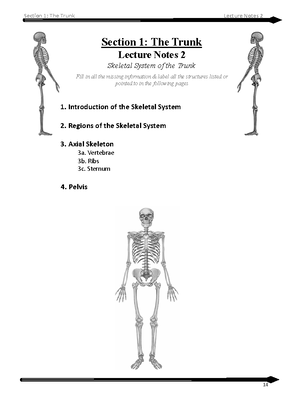 6-Lecture 6 - PDF NOTES - Section 1: The Trunk Lecture Notes 6 Inside ...