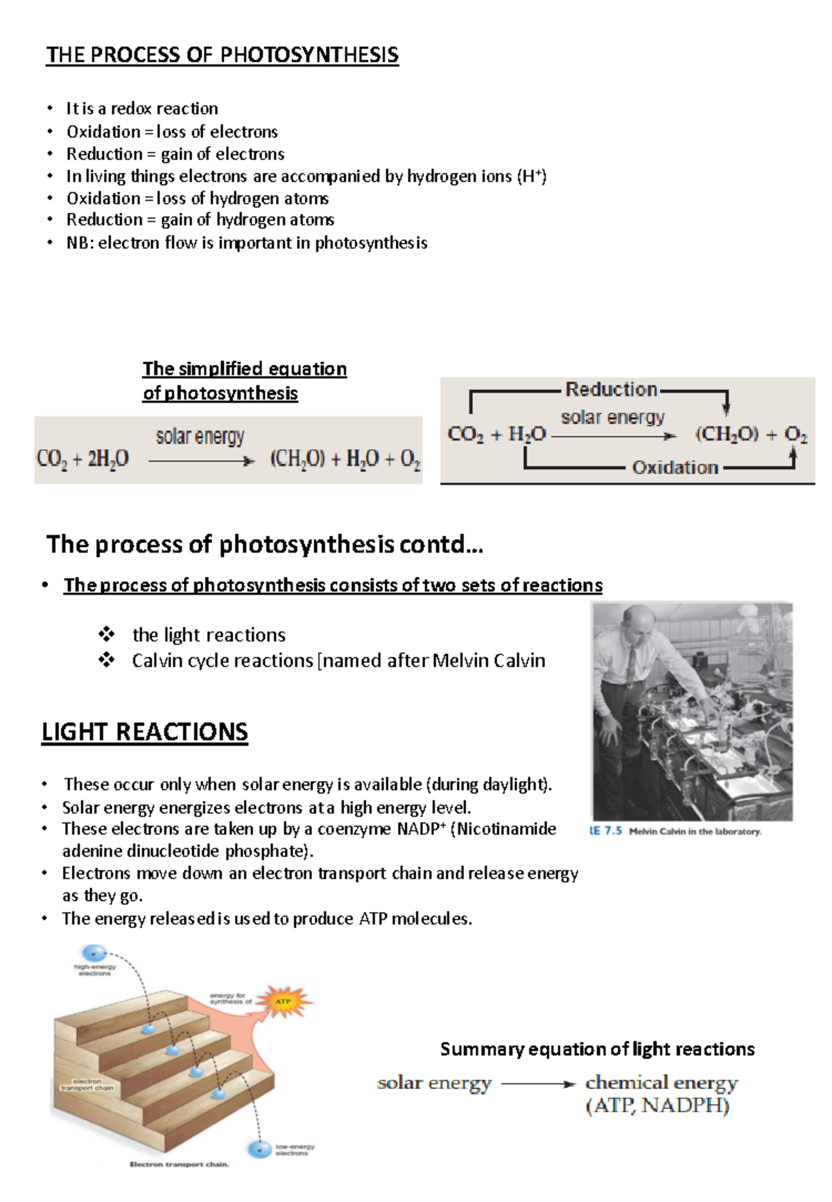 2. Photosynthesis - These are notes on cell and molecular biology that ...