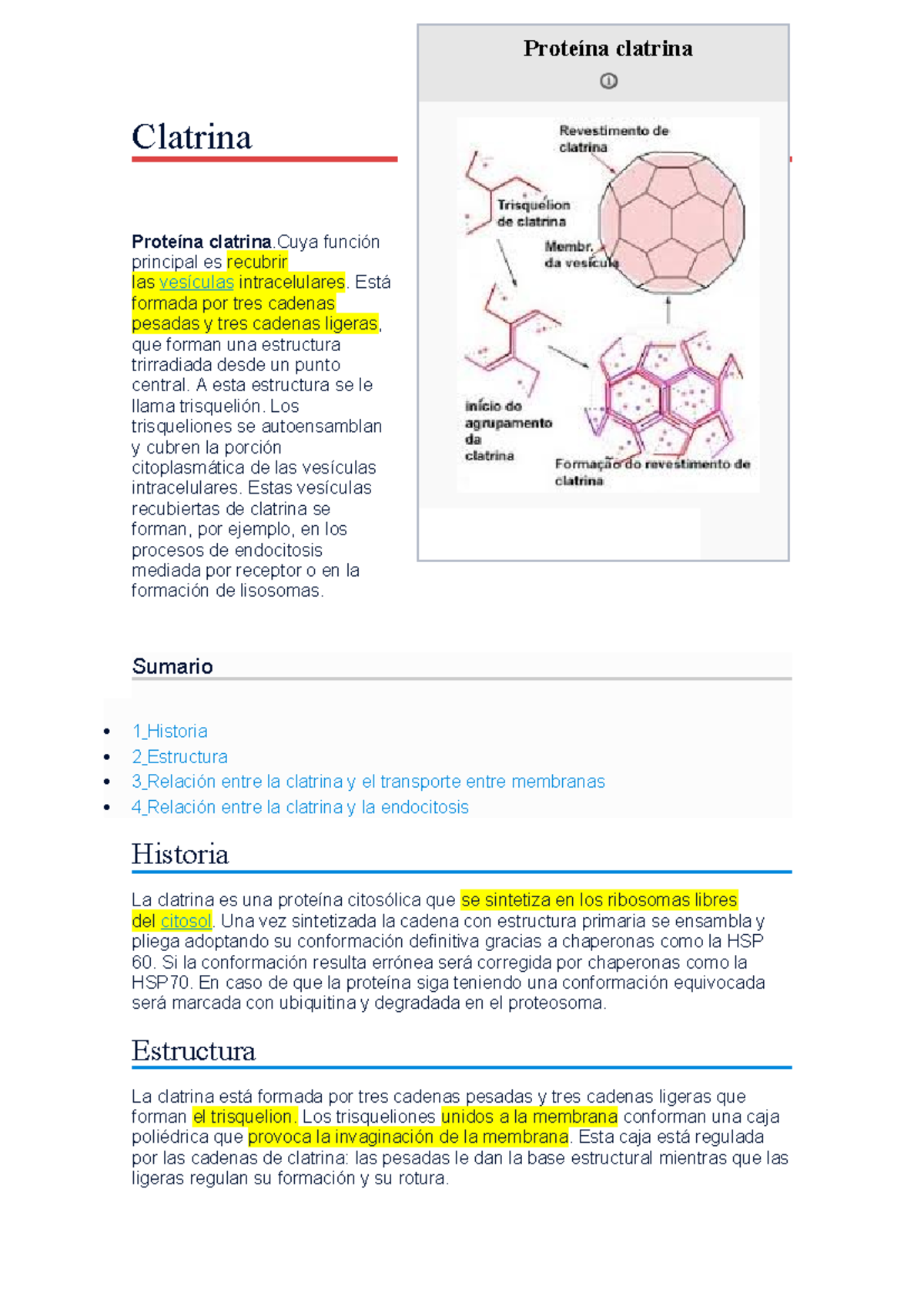 Clatrina - NINGUNA - Clatrina Proteína clatrina función principal es ...