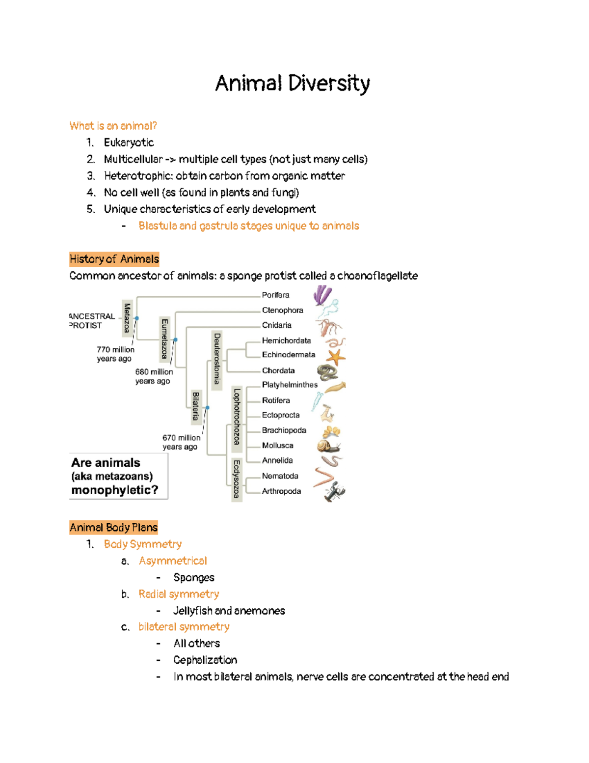 Animal Diversity - Animal Diversity What is an animal? 1. Eukaryotic 2 ...