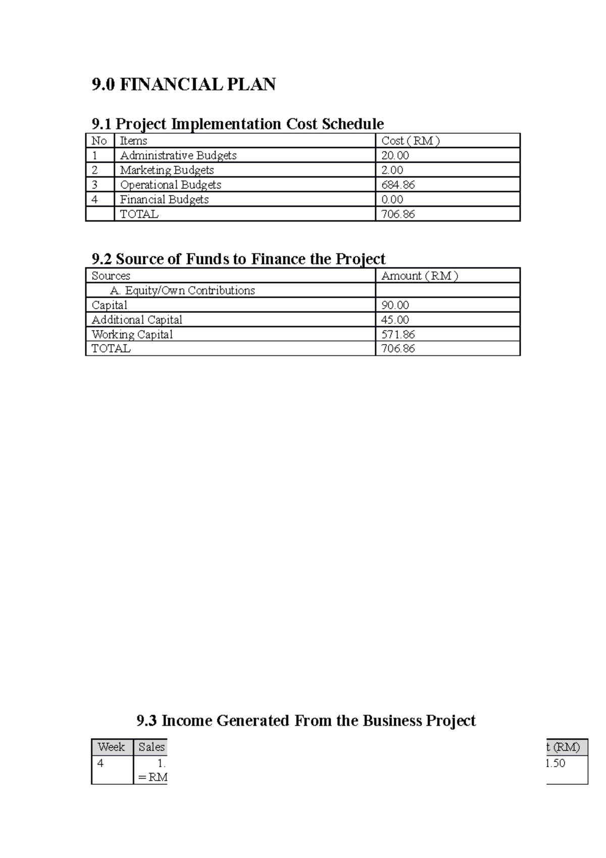 Financial PLAN Example 9 FINANCIAL PLAN 9 Project Implementation 
