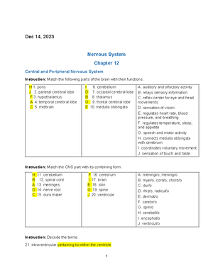 Week 5 Assignment Worksheet - MOA115 Medical Records and Insurance Week ...