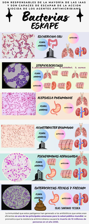 Medidas en caso de brote hospitalario - enfoque a los pacientes ...