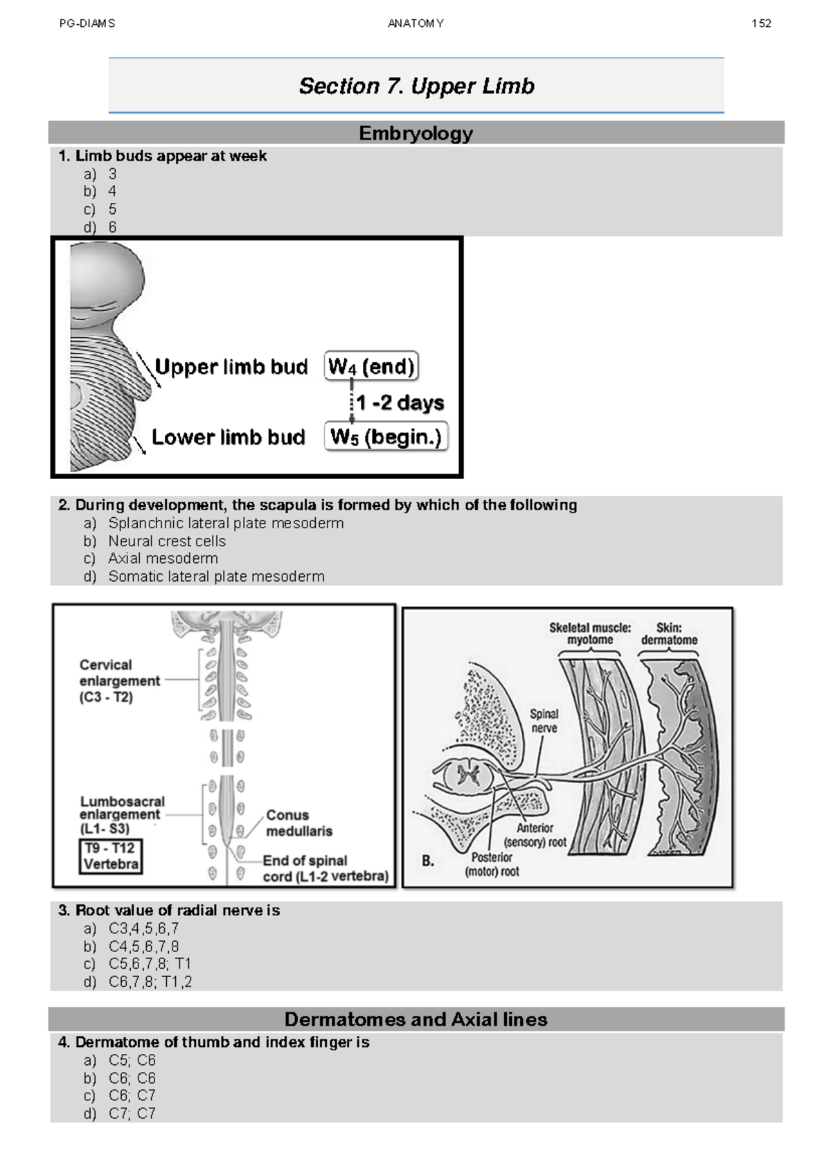 Anatomy Class Notes 9 - Section 7. Upper Limb Embryology Limb buds ...
