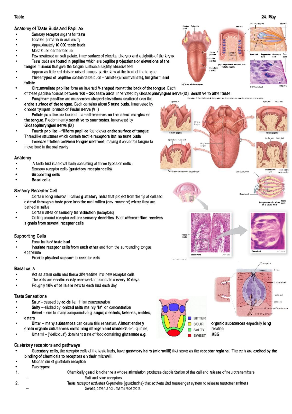 Taste - May Anatomy of Taste Buds and Papillae Sensory receptor organs ...