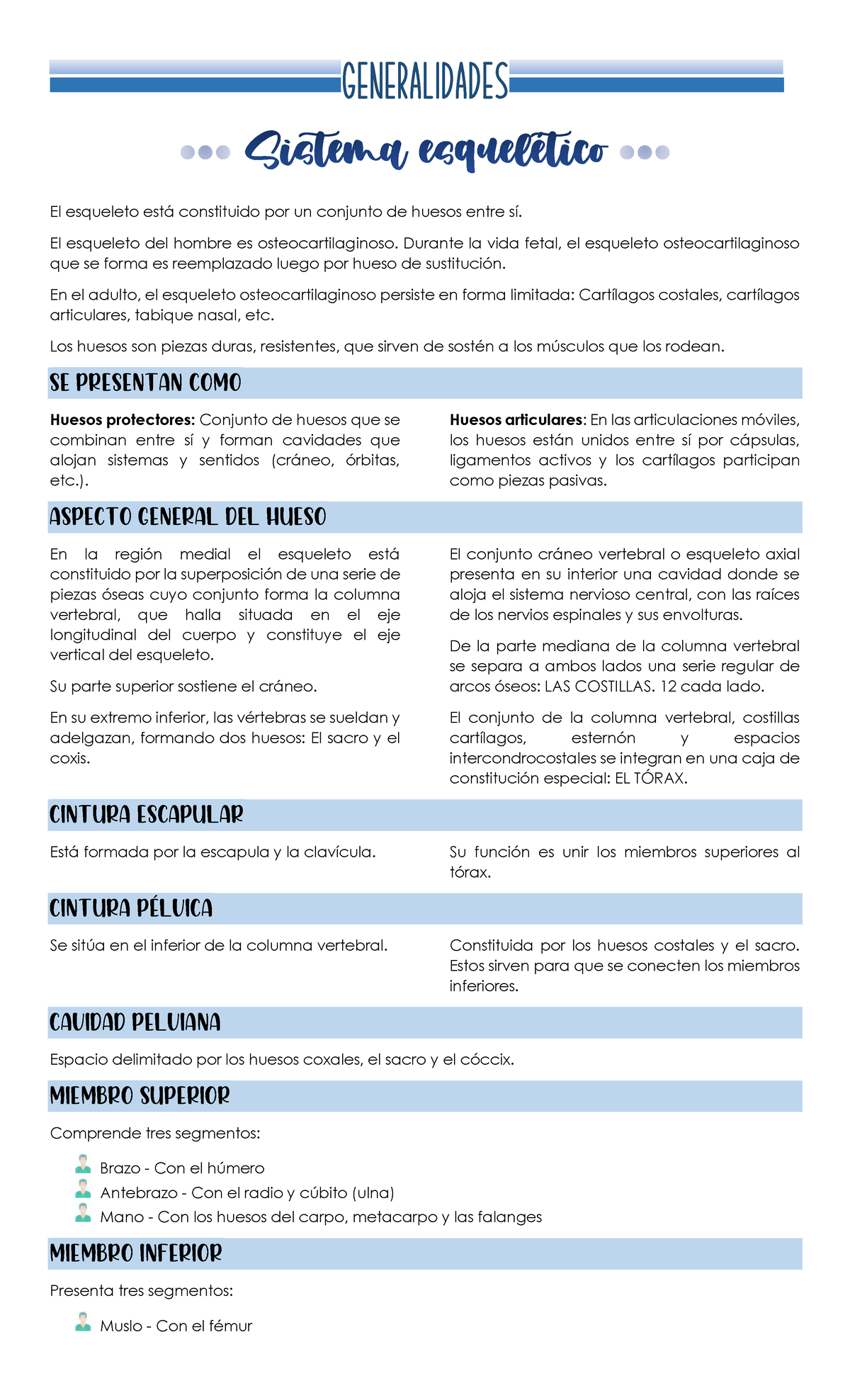 Resumen Anatomia - Warning: TT: undefined function: 32 Generalidades El esqueleto está ...