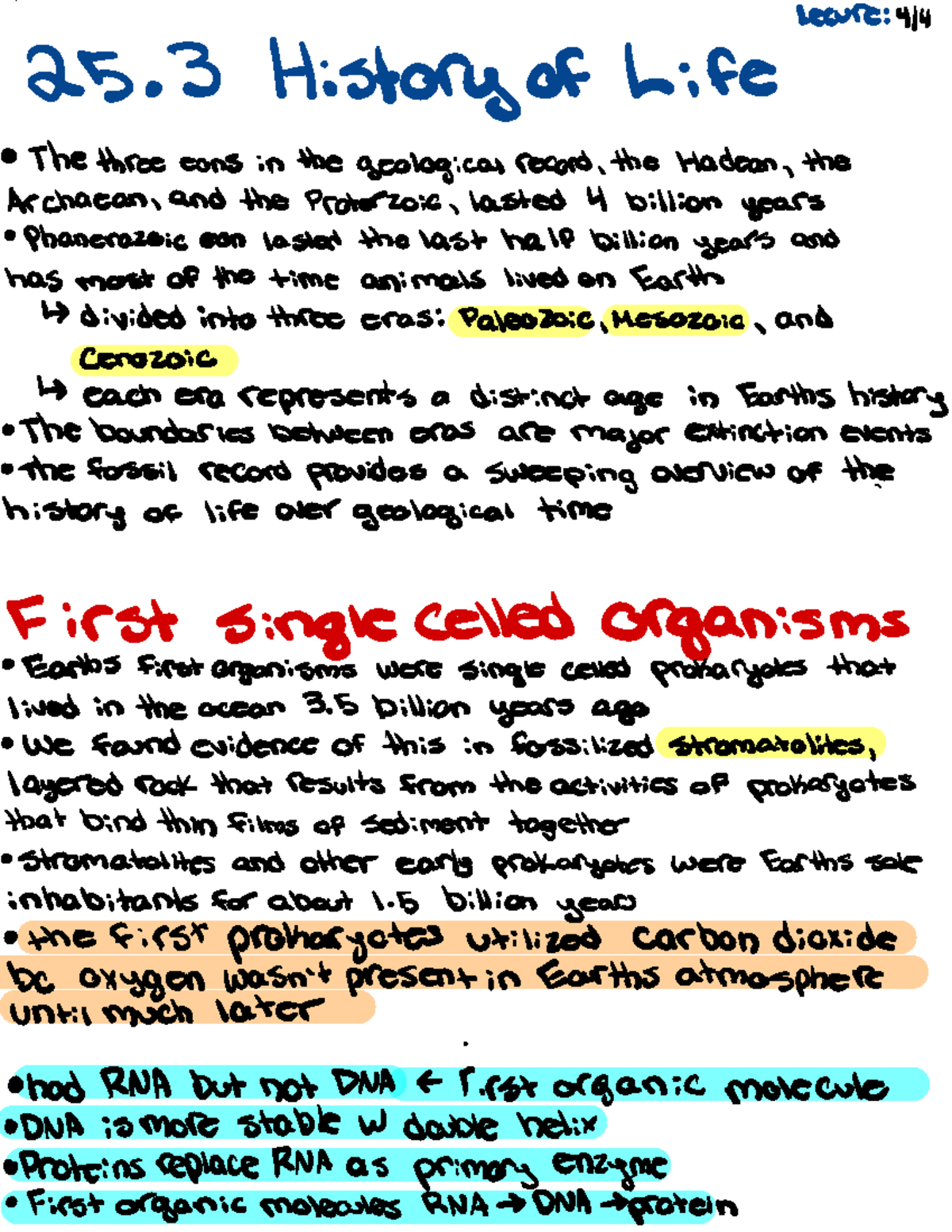 4-4 Ch 25 History of Life - Lecure : 414 ' 25. History of Life The ...