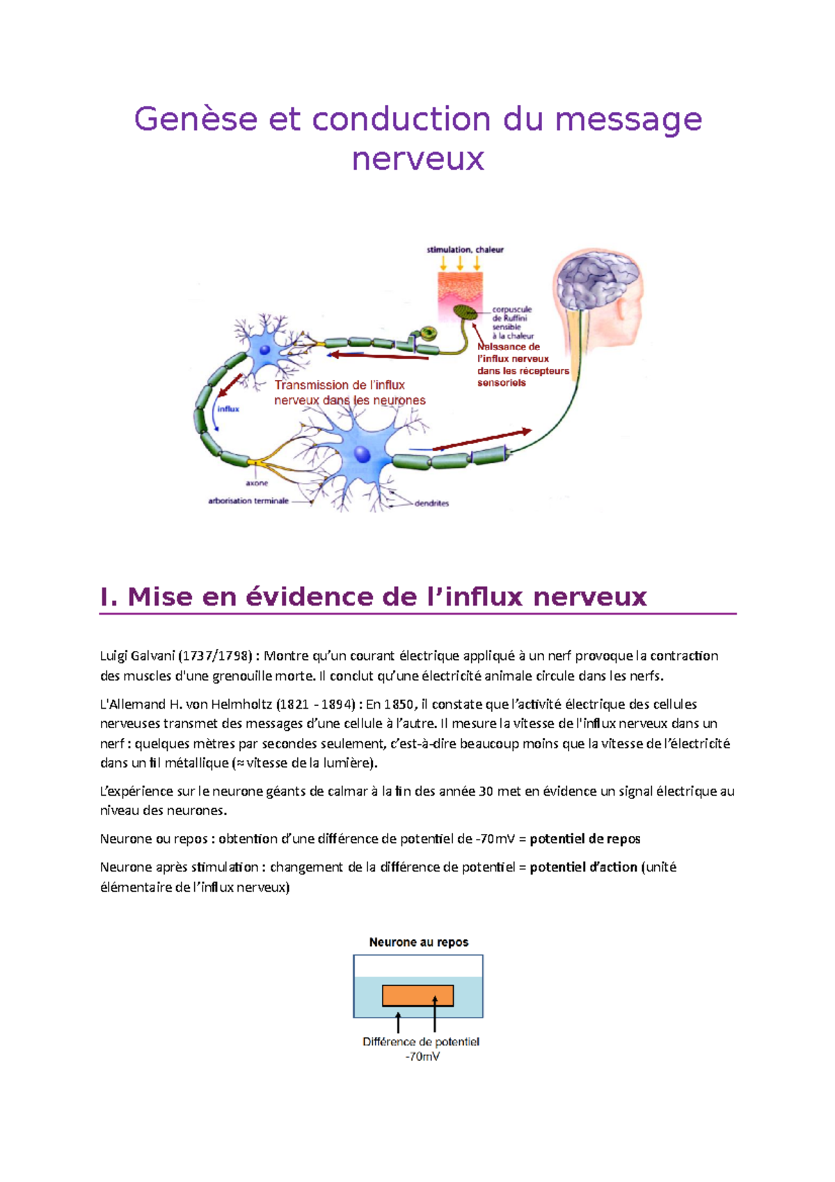 3 Genèse et conduction du message nerveux Djelti Fathia - Genèse et ...