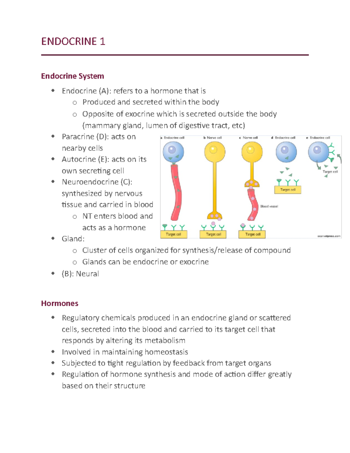 1 - Endocrine system, hormones - ENDOCRINE 1 Endocrine System Endocrine ...