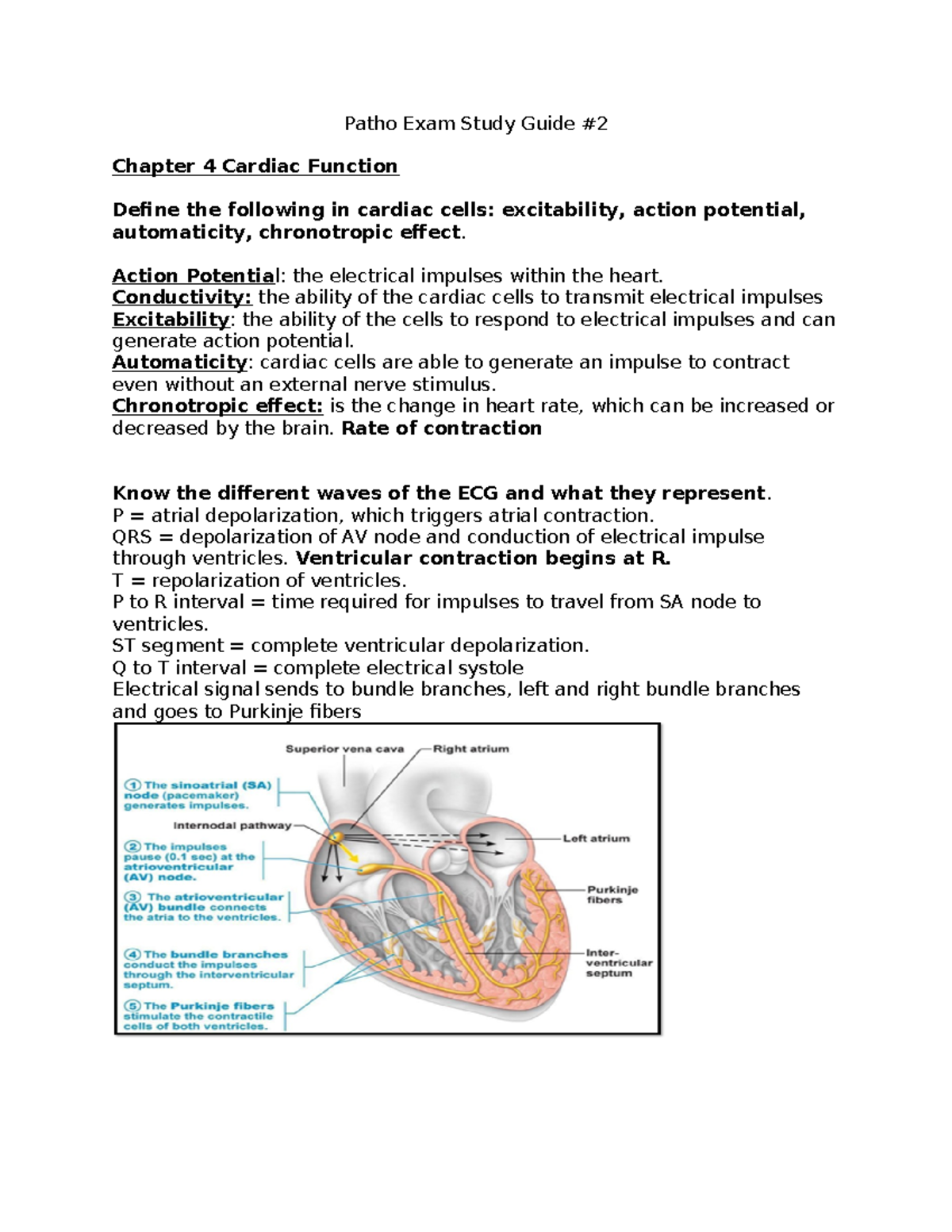 Patho Exam Study Guide - Patho Exam Study Guide Chapter 4 Cardiac ...