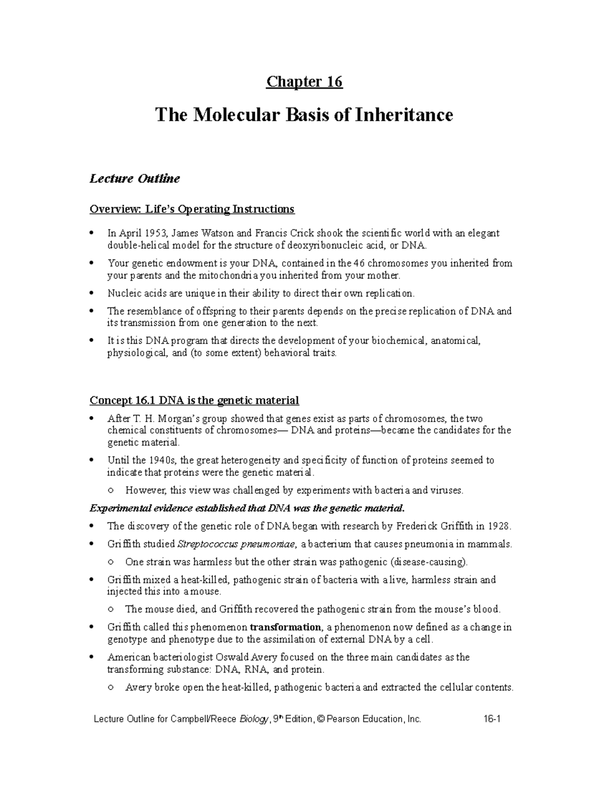 Chapter 16-The Molecular Basis of Inheri - Chapter 16 The Molecular ...