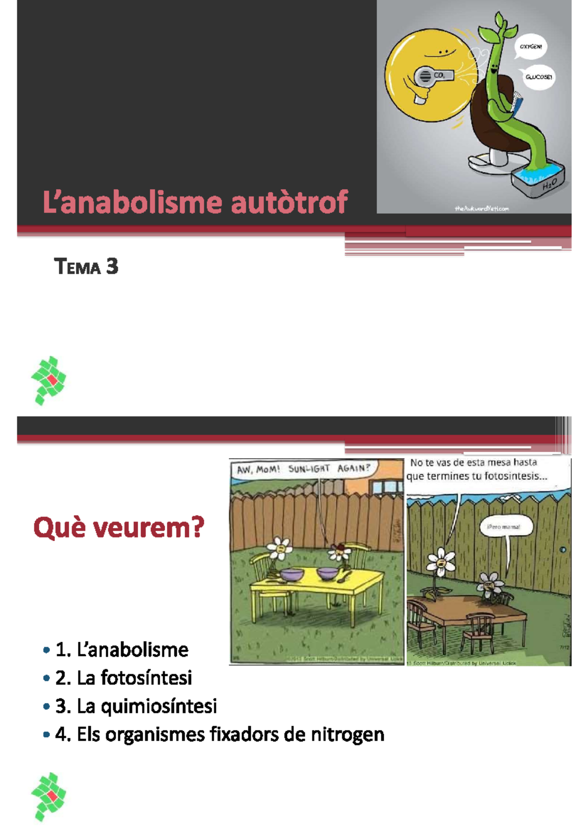 L'anabolisme autòtrof - Biologia II - Studocu