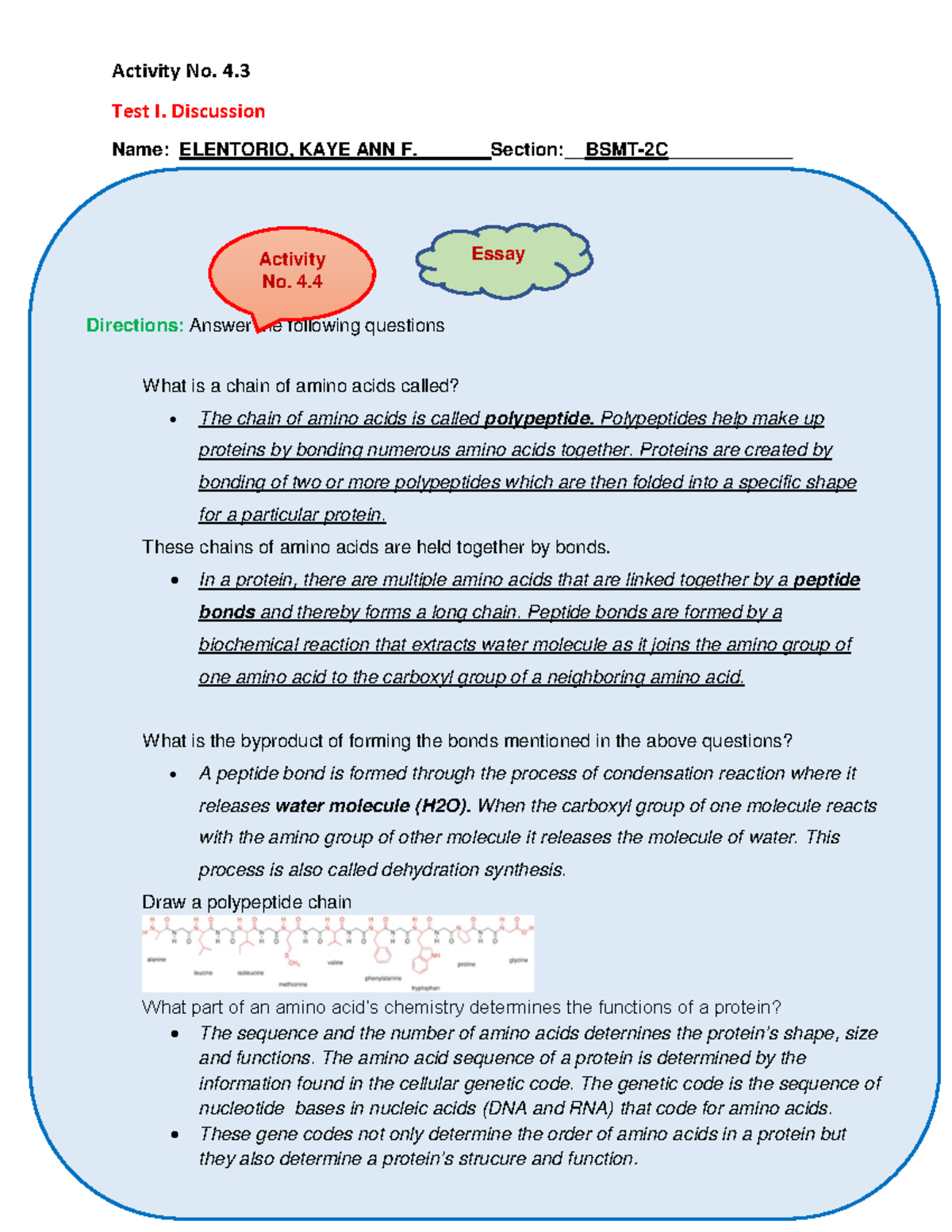 Biochemistry Activity No. 4.3 Essay - Activity No. 4. Test I ...
