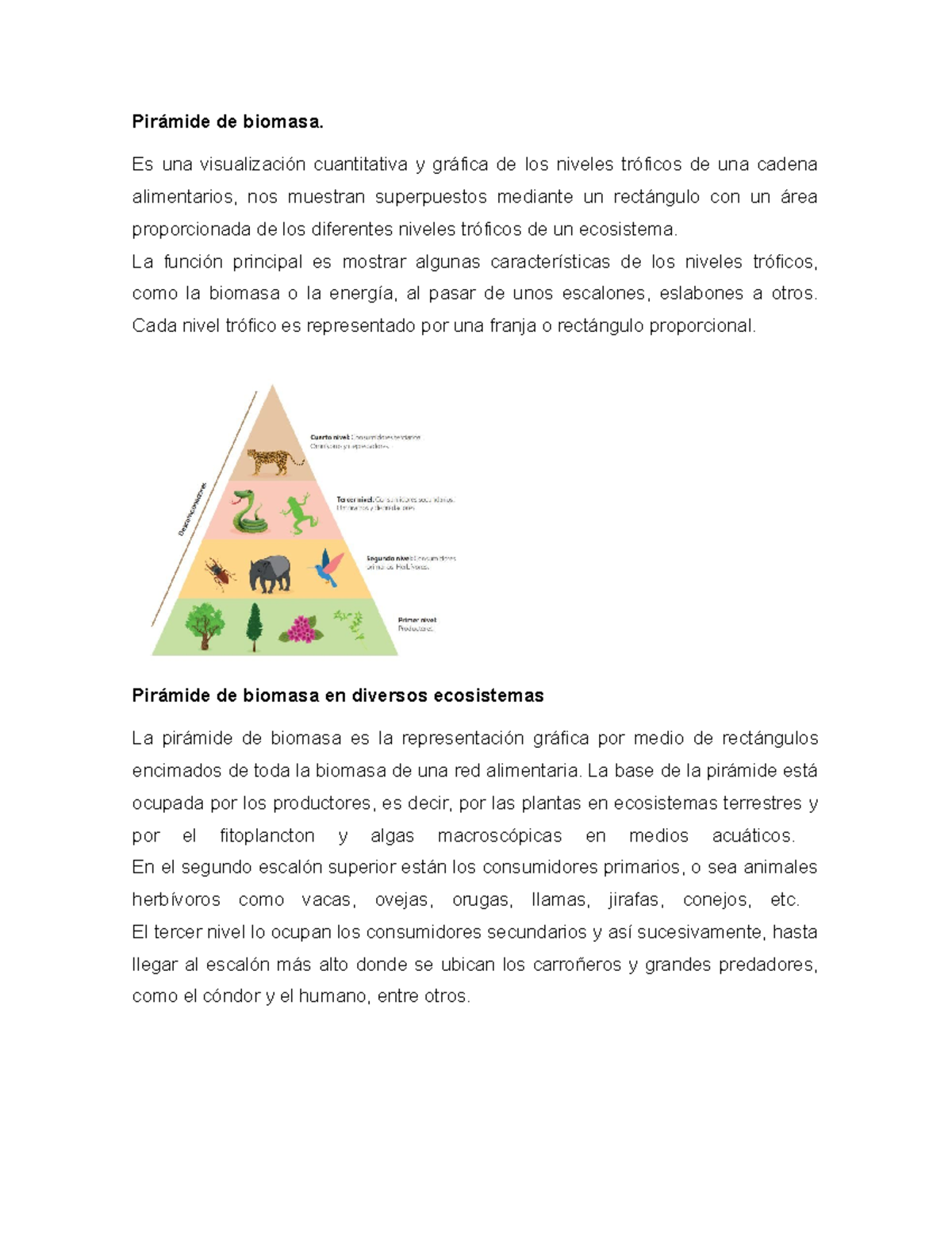 Pirámide de biomasa - Pirámide de biomasa. Es una visualización ...