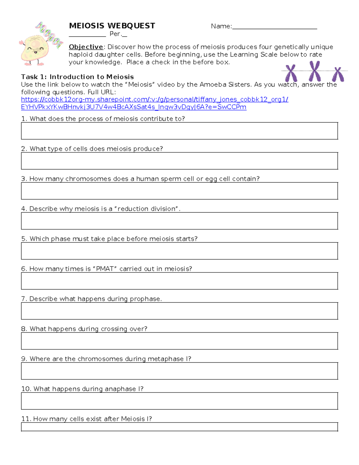 Meiosis Web Quest Student Handout - MEIOSIS WEBQUEST Name: Per ...
