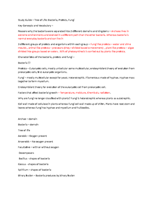 Animal Study Guide - Study Guide – Kingdom Animalia Key Concepts and ...