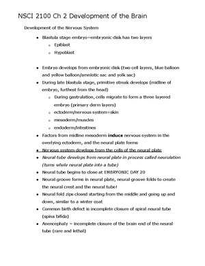 NSci 2101-Final Exam practice exam - Name ...