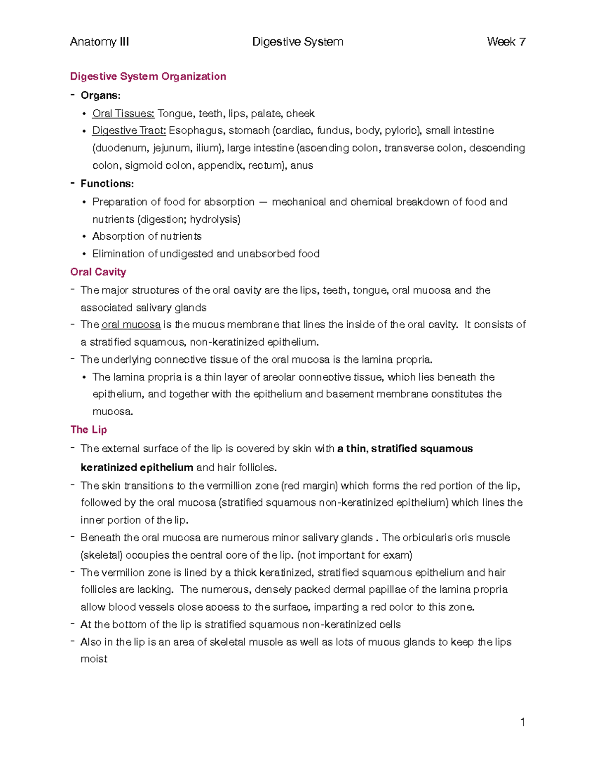Anatomy 3; Week 7; Digestive System - Digestive System Organization ...