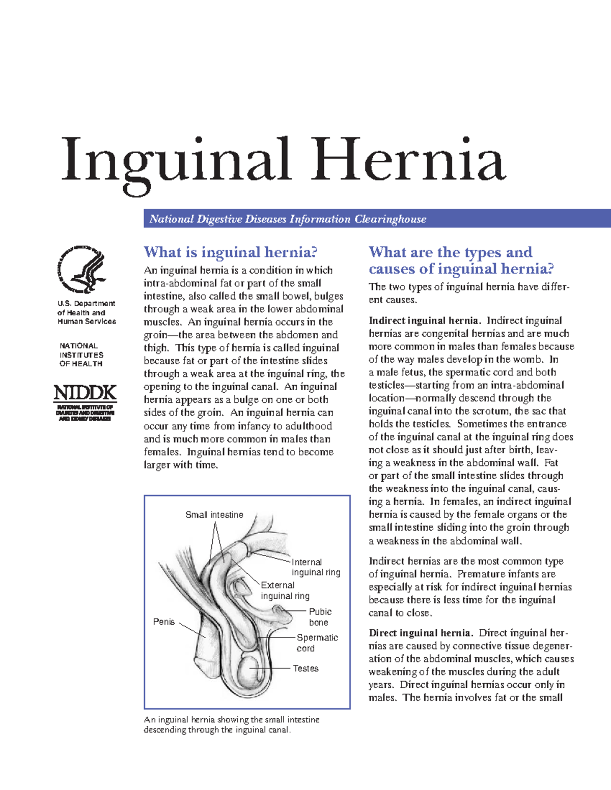 Inguinal-Hernia - Practice manual - Inguinal Hernia National Digestive ...