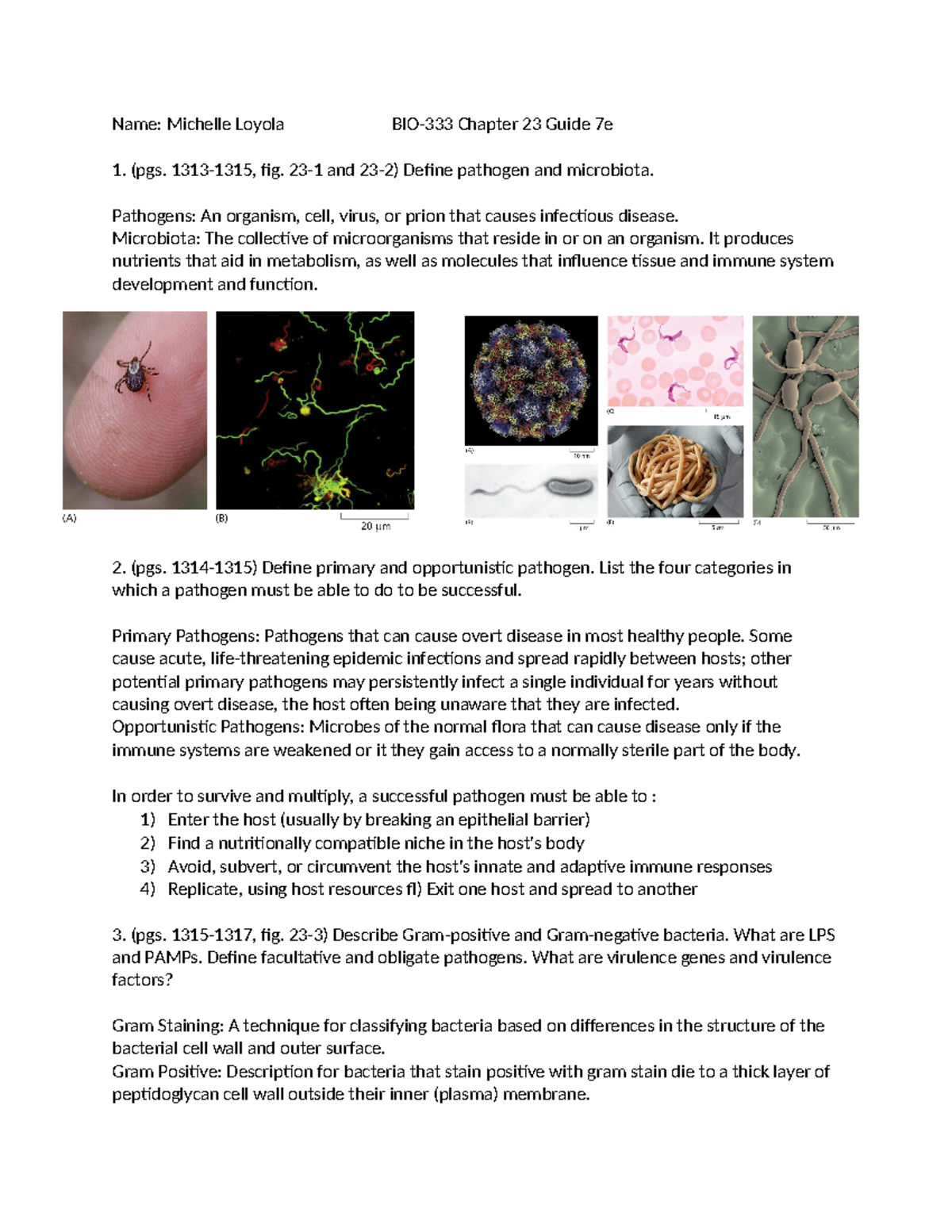 BIO-333 CH23 Guide 7e - Participation points - Name: Michelle Loyola ...