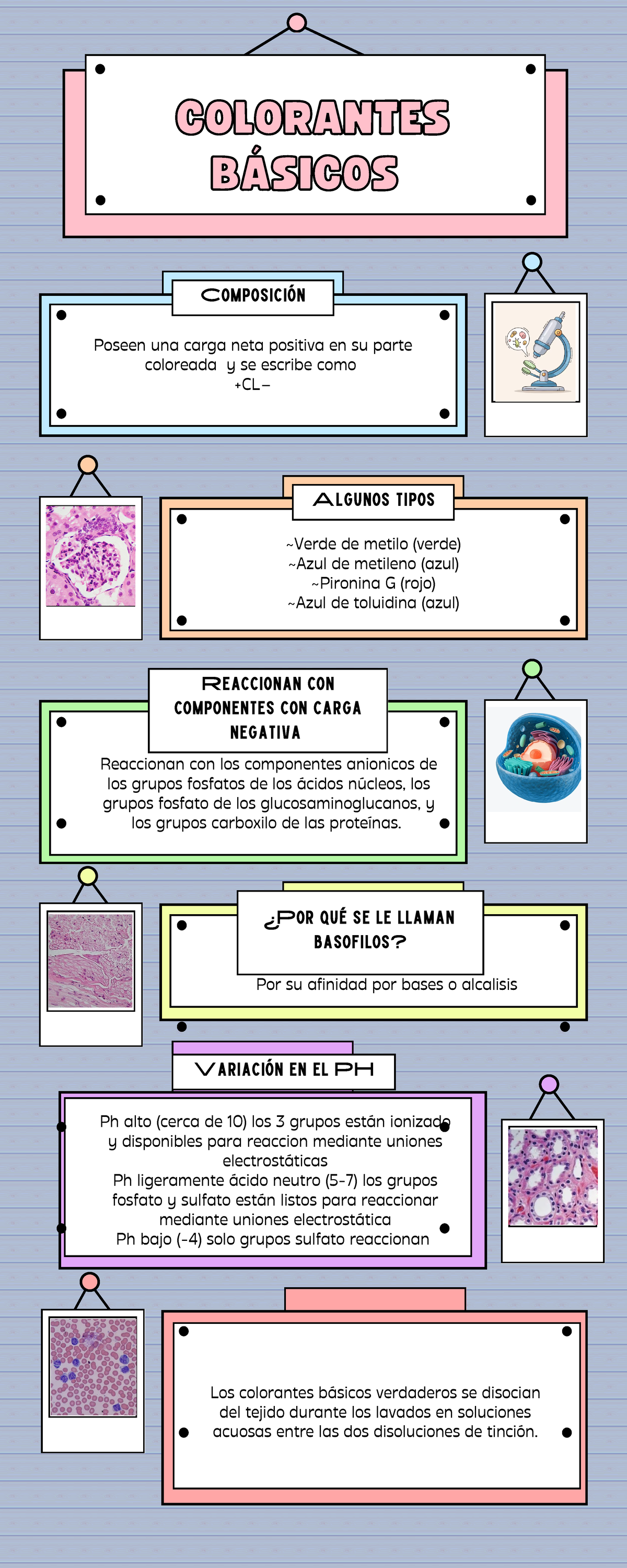 Colorantes básicos - Composición Algunos tipos Reaccionan con ...