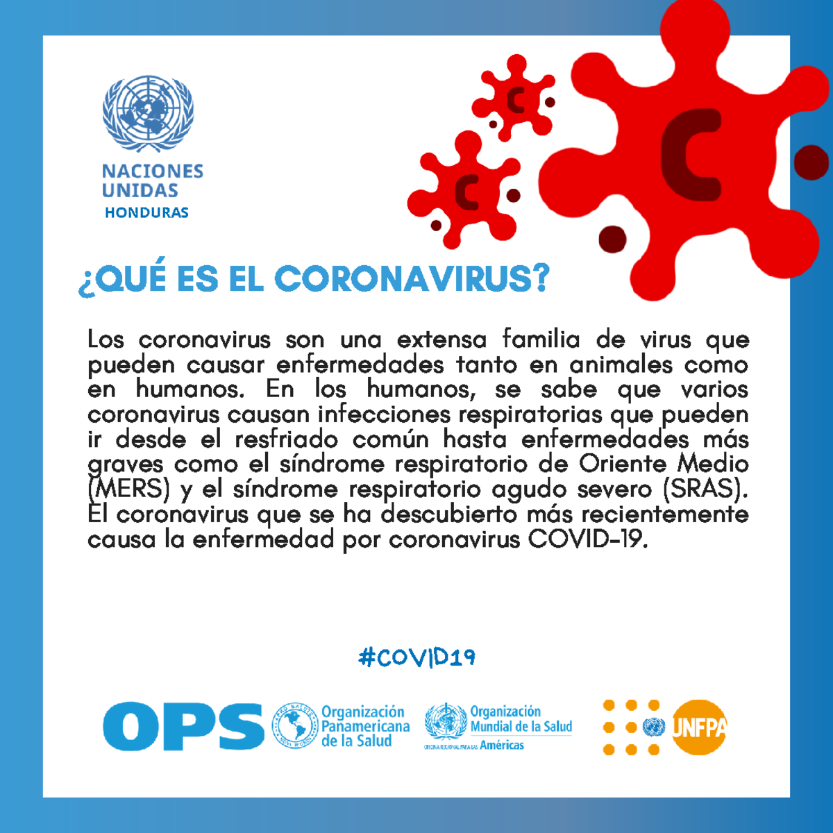 Hon onu coronavirus preguntasfrecuentes - Los coronavirus son una ...
