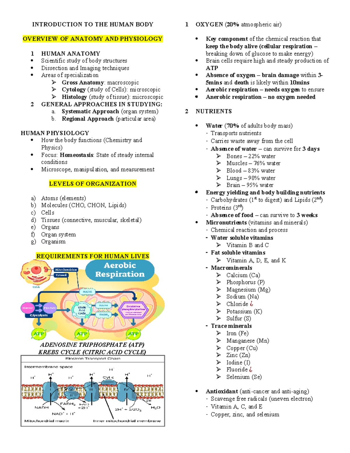 Anaphy-reviewer-midterm - INTRODUCTION TO THE HUMAN BODY OVERVIEW OF ...
