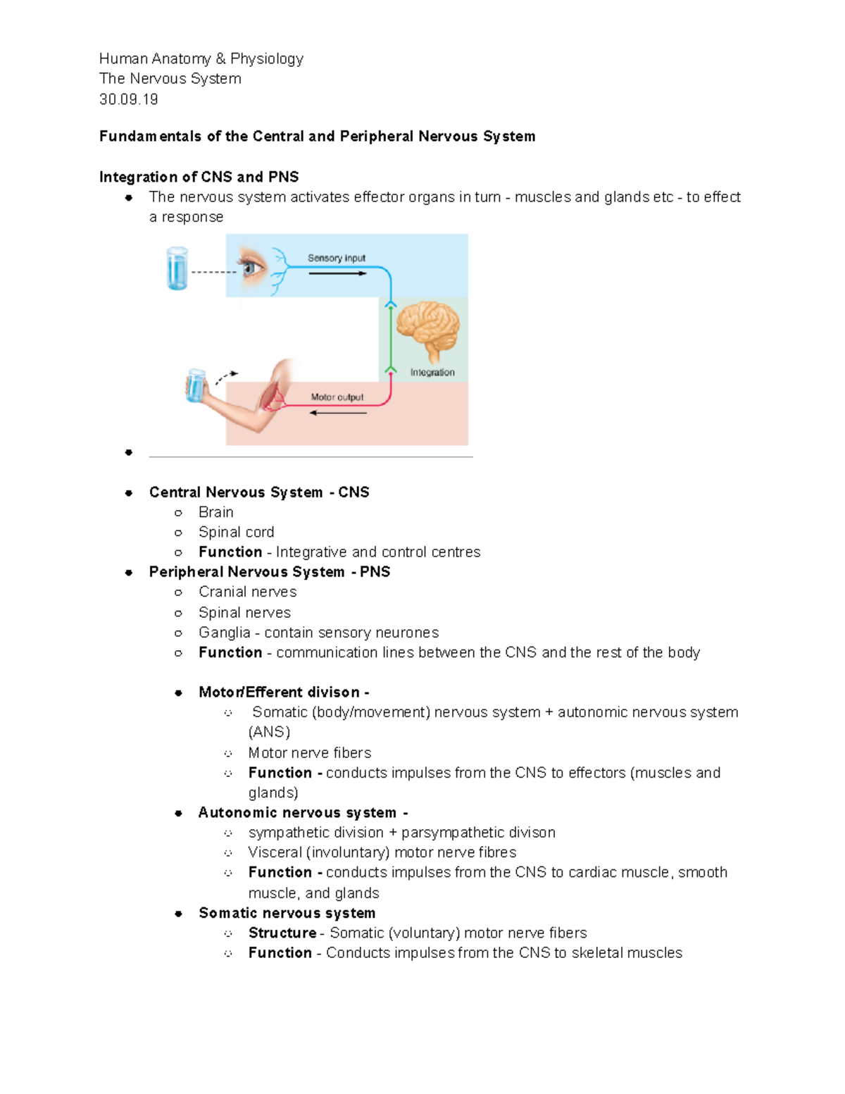 Lecture 3 The Nervous System - fundamentals of the Central ad ...