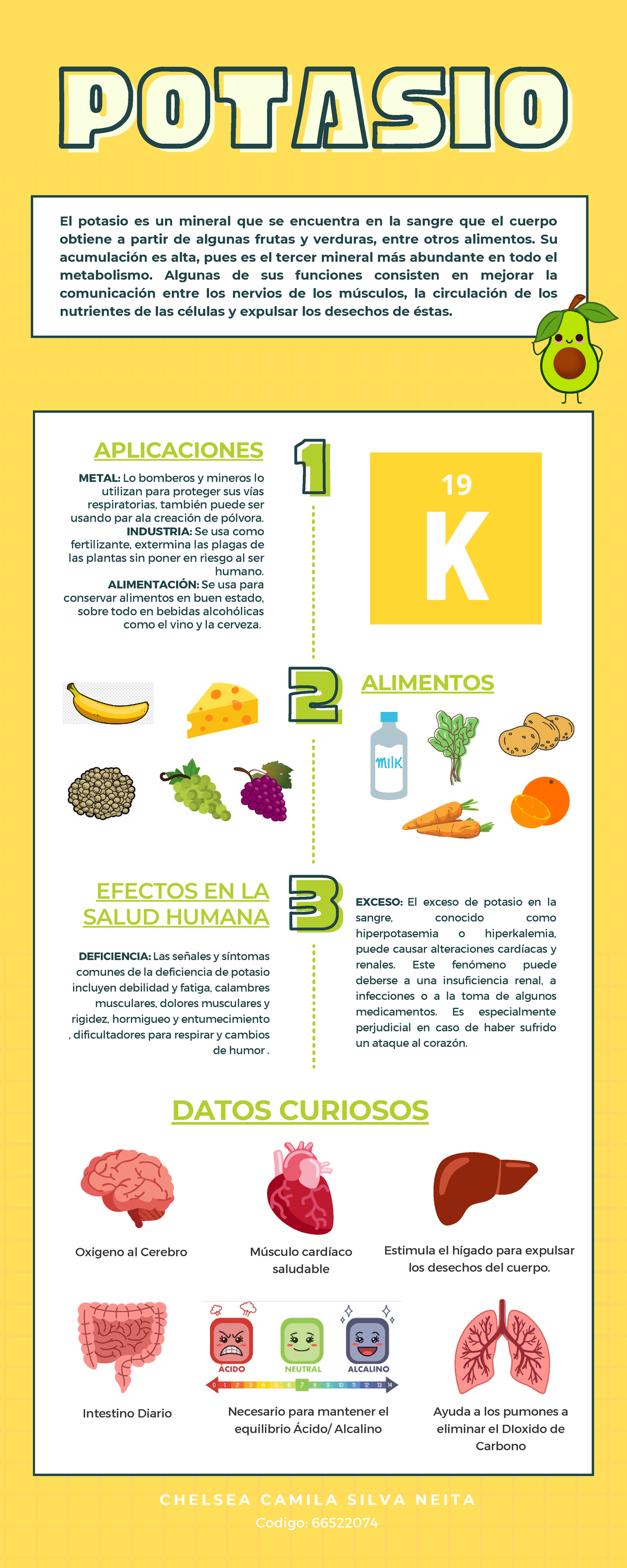 Infografia - fvrfvebr - 11 33 22 ####### El potasio es un mineral que se encuentra en la sangre ...