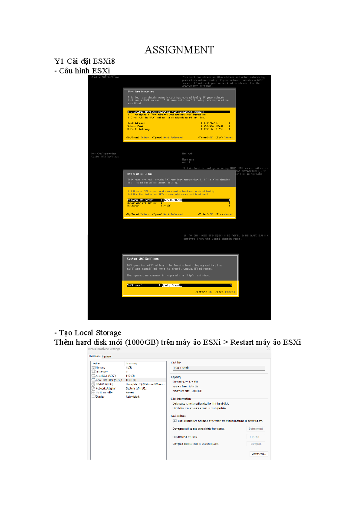 Assignment - 123 - ASSIGNMENT Y1 Cài đặt ESXi - Cấu hình ESXi - Tạo Local Storage Thêm hard disk ...