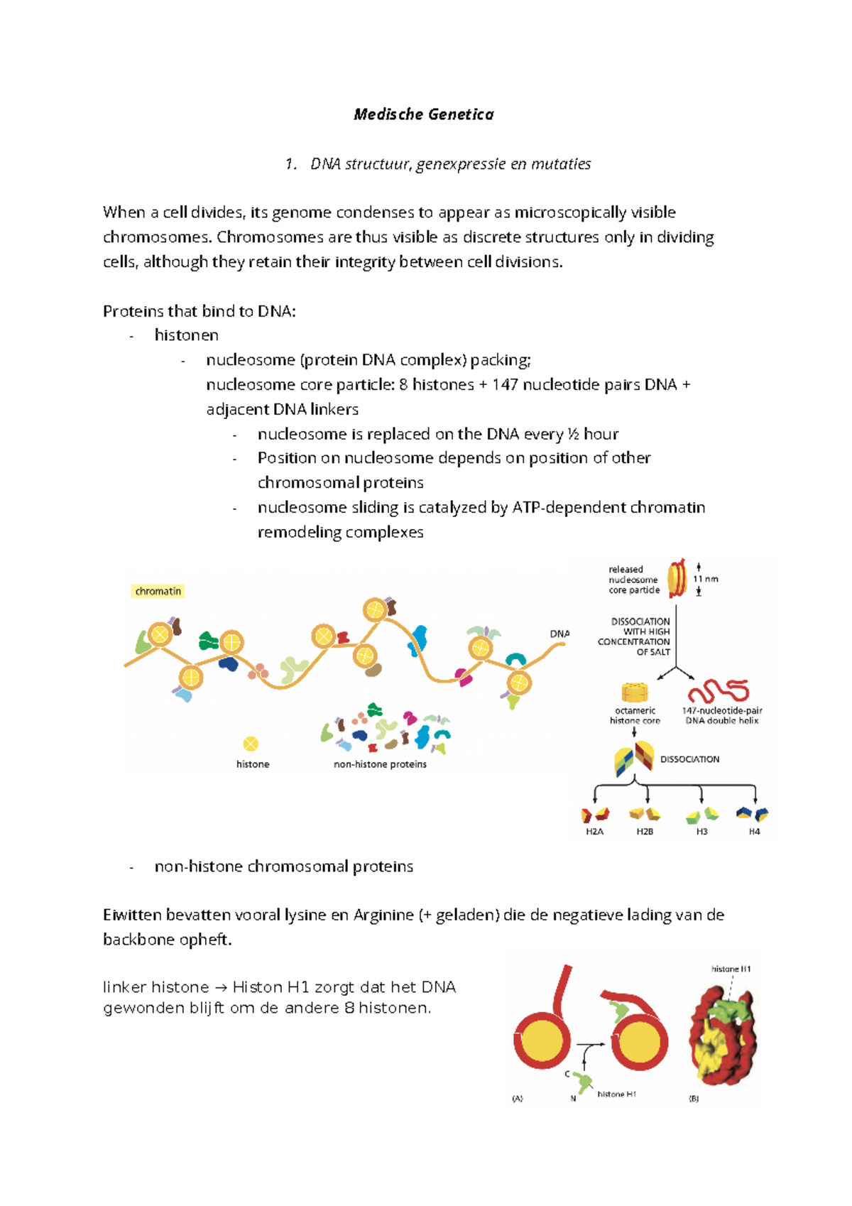 Medische Genetica - Medische Genetica DNA structuur, genexpressie en ...