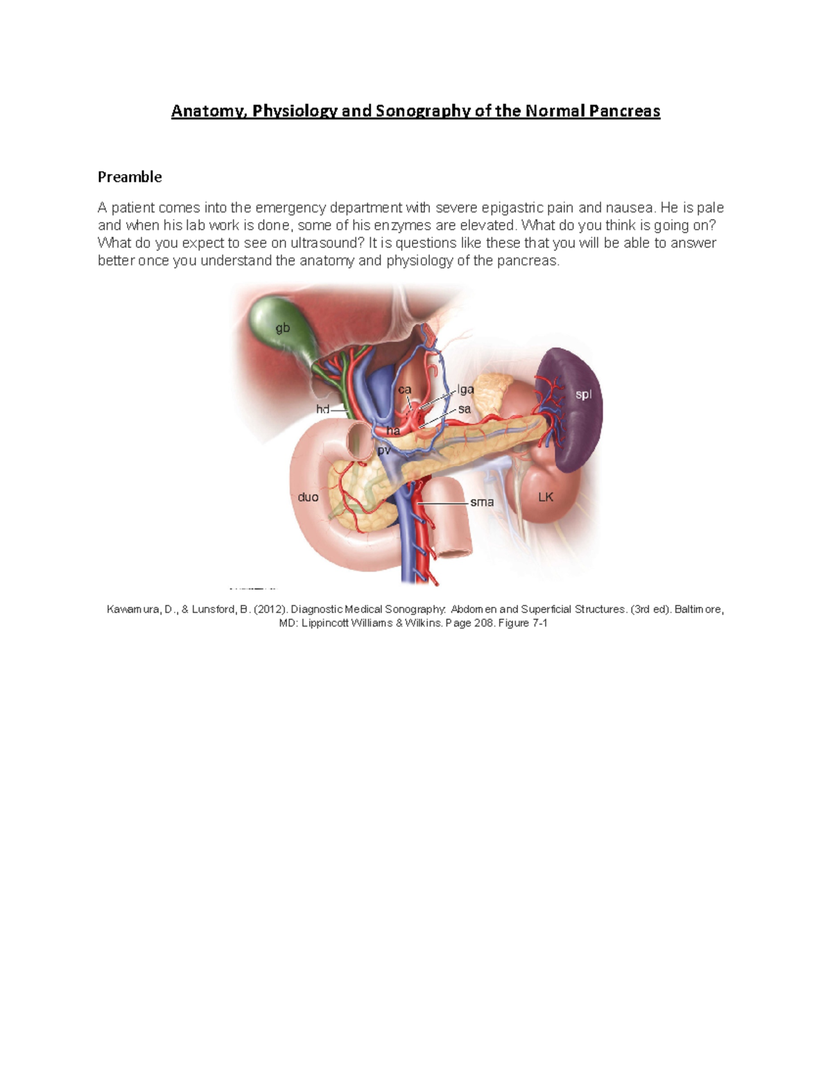 Mod 3 notes - Brent DMS Abdo 1120 Anatomy - Anatomy, Physiology and ...