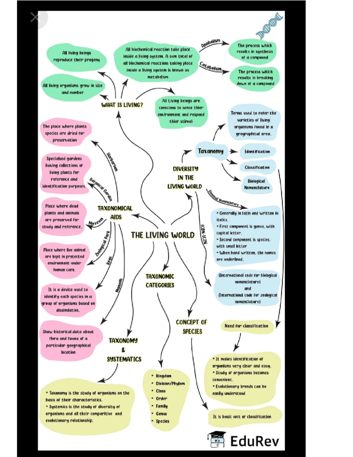 Class 11 The living world - Biology - Studocu