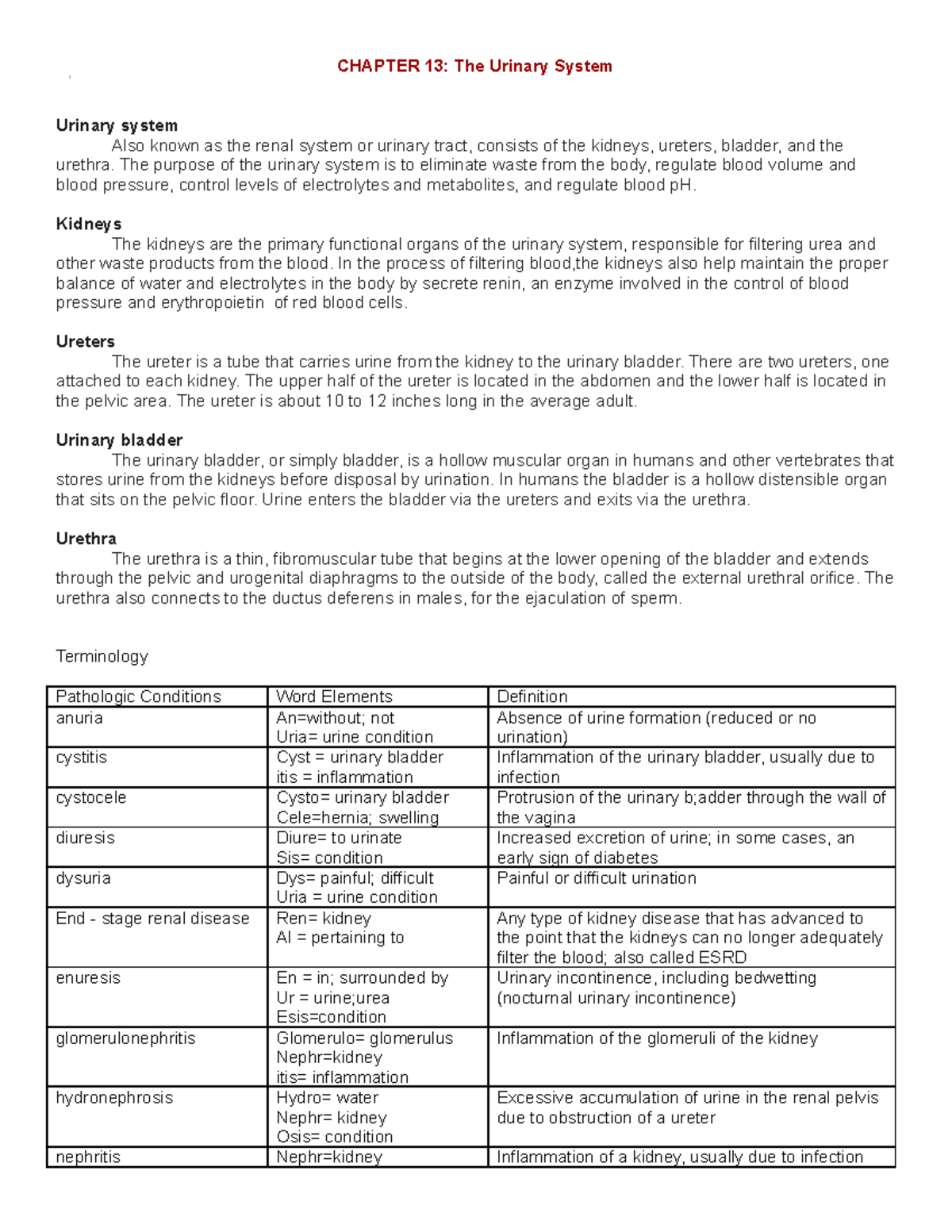 The Urinary System and The Endocrine System - CHAPTER 13: The Urinary ...