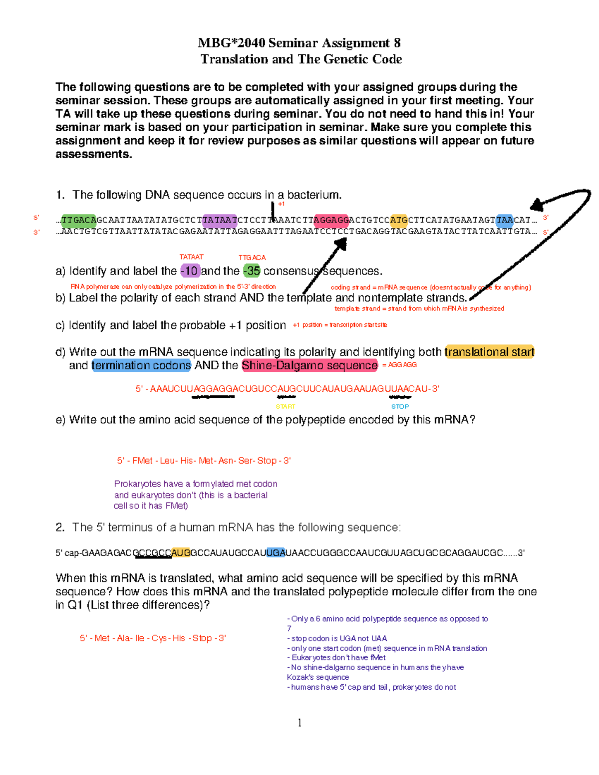 MBG 2040- Seminar Assignment #8: Translation and the Genetic Code ...
