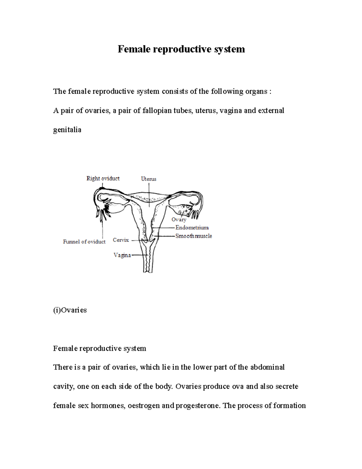 Female reproductive system - Ovaries produce ova and also secrete ...