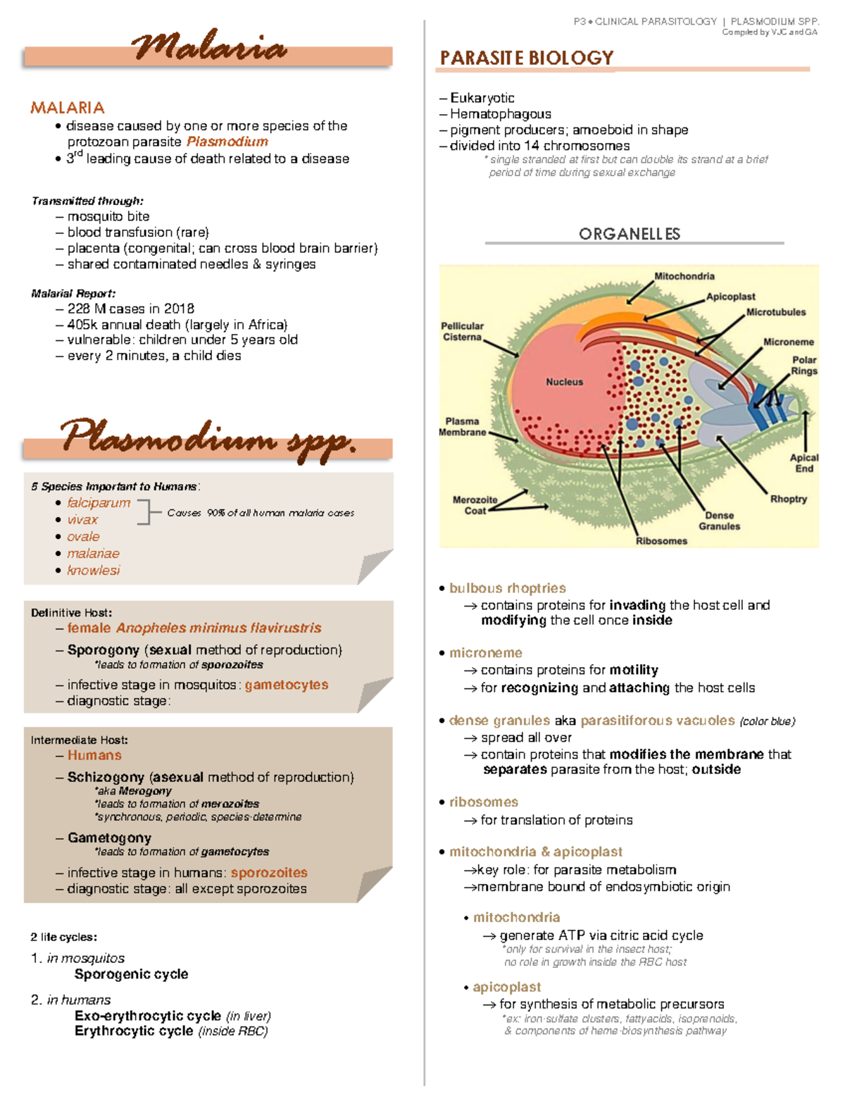 Parasitology - Plasmodium spp - Compiled by VJC and GA MALARIA disease ...
