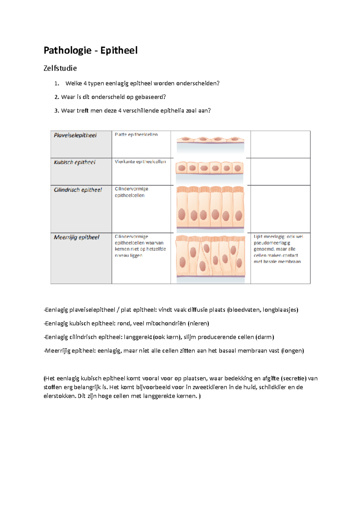 Epitheel - Pathologie - Epitheel Zelfstudie Welke 4 typen eenlagig ...