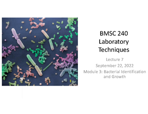 240 L20 - LECTURE NOTES - BMSC 240 Laboratory Techniques Lecture 20 ...