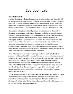 Bio 104-Animal Lab 1-Simple Animals - Animal Lab One-Simple Animals 15 ...