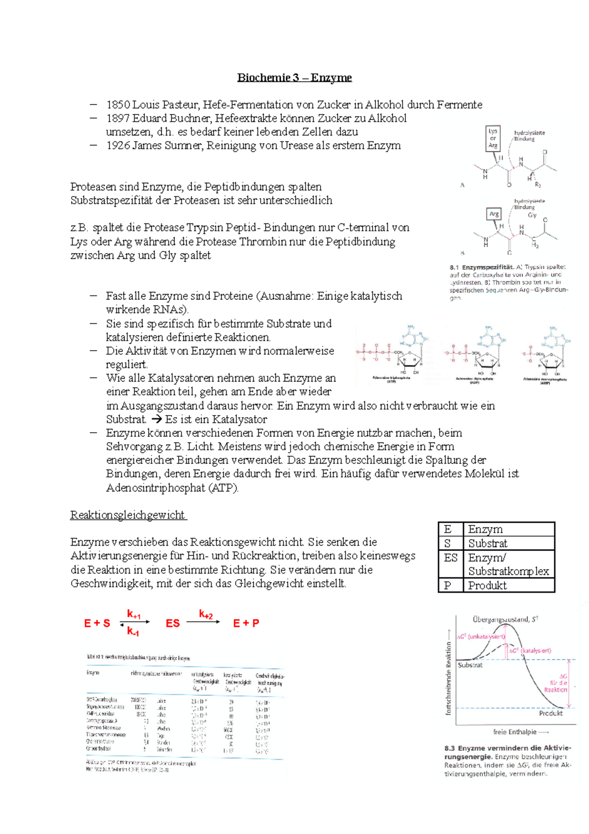 Biochemie Zsmfassung Enzyme - Biochemie 3 – Enzyme 1850 Louis Pasteur ...