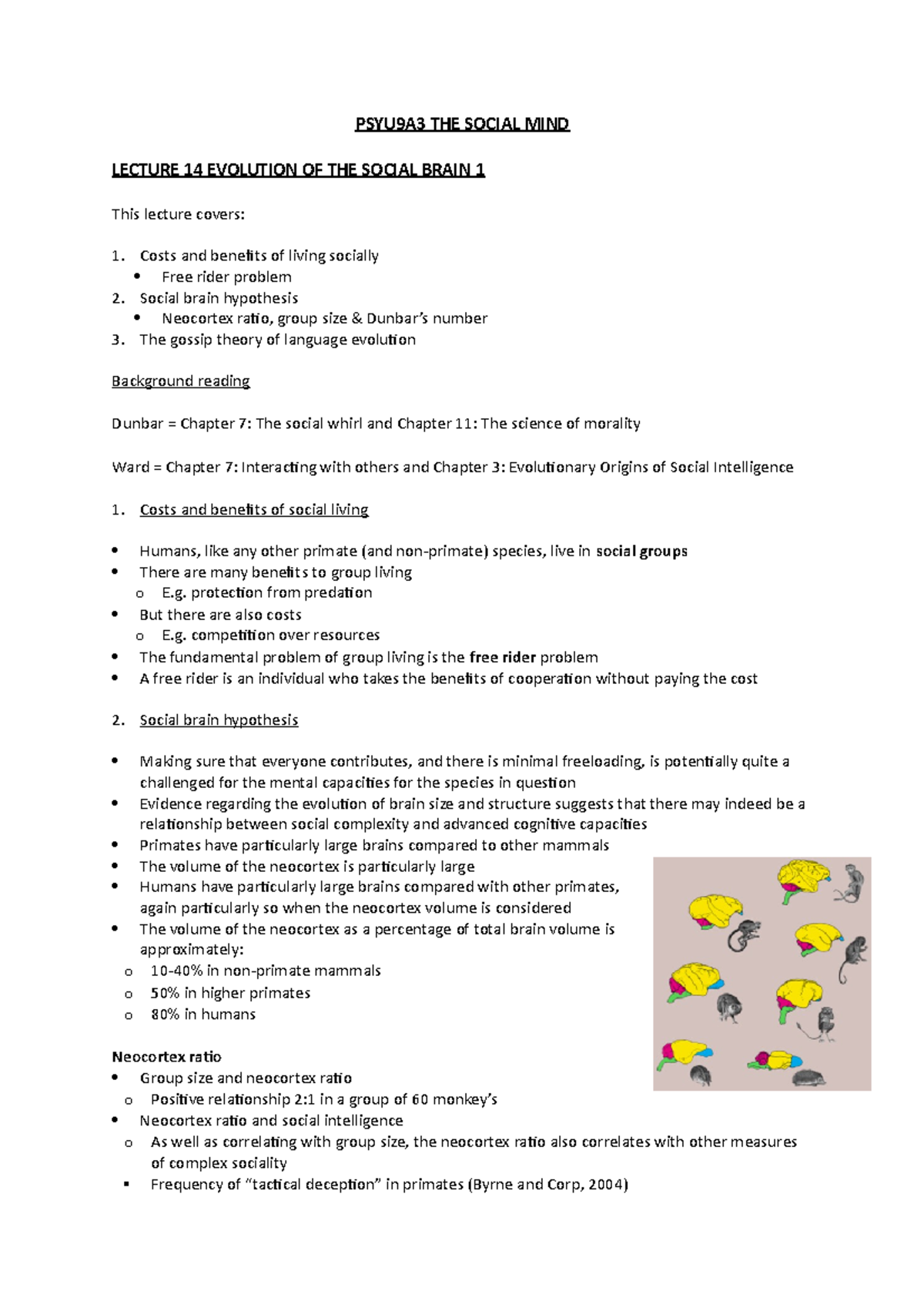 Lecture 14 Evolution OF THE Social Brain - PSYU9A3 THE SOCIAL MIND ...