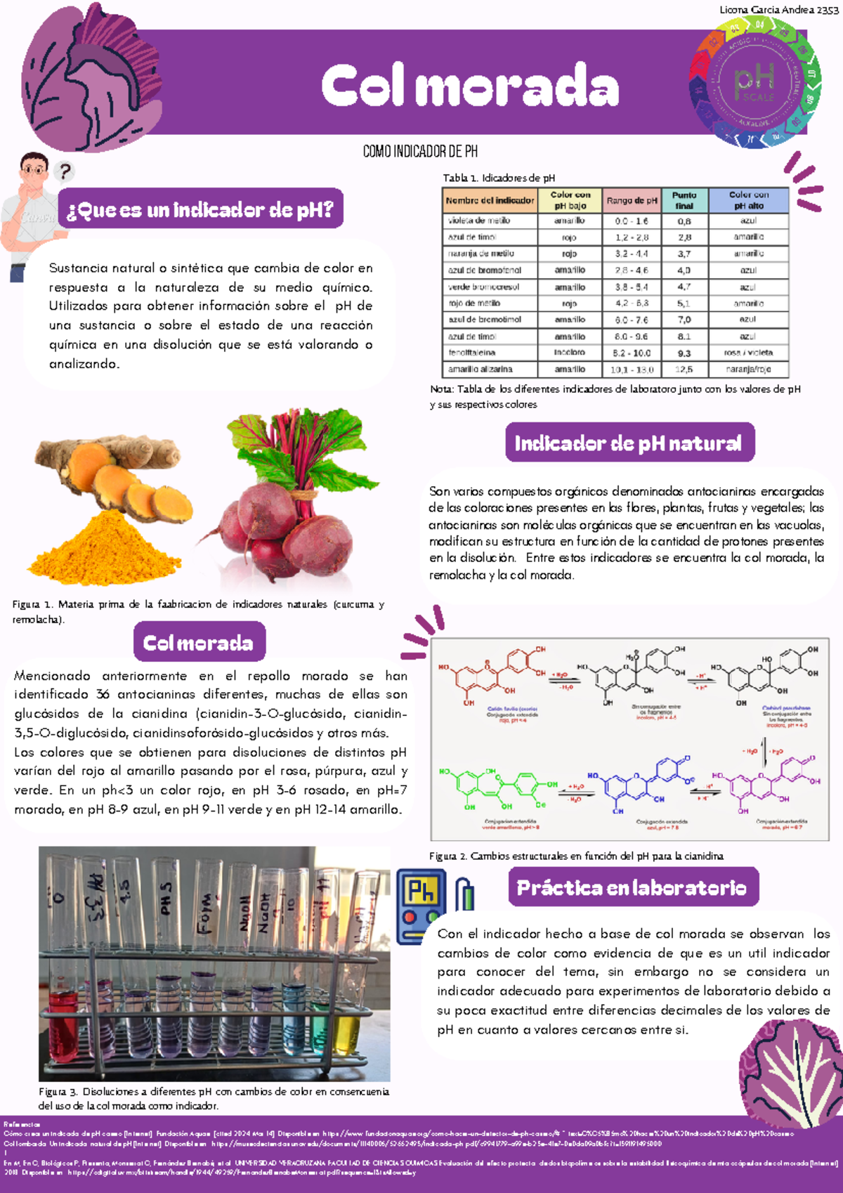 Indicador natural col morada Licona Gracia Andrea - Col morada ...