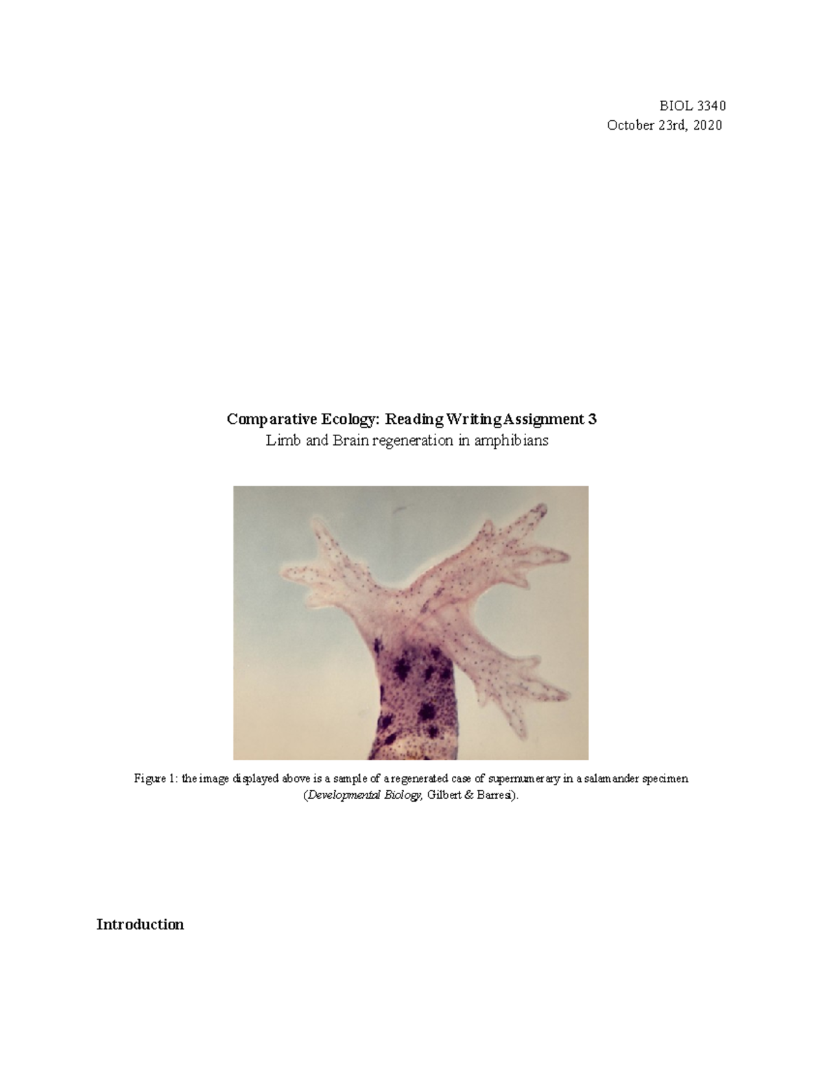 Reading Writing Assigment 3 - Introduction The animal kingdom is full ... Reading Writing Assigment 3 - Introduction The animal kingdom is full ...