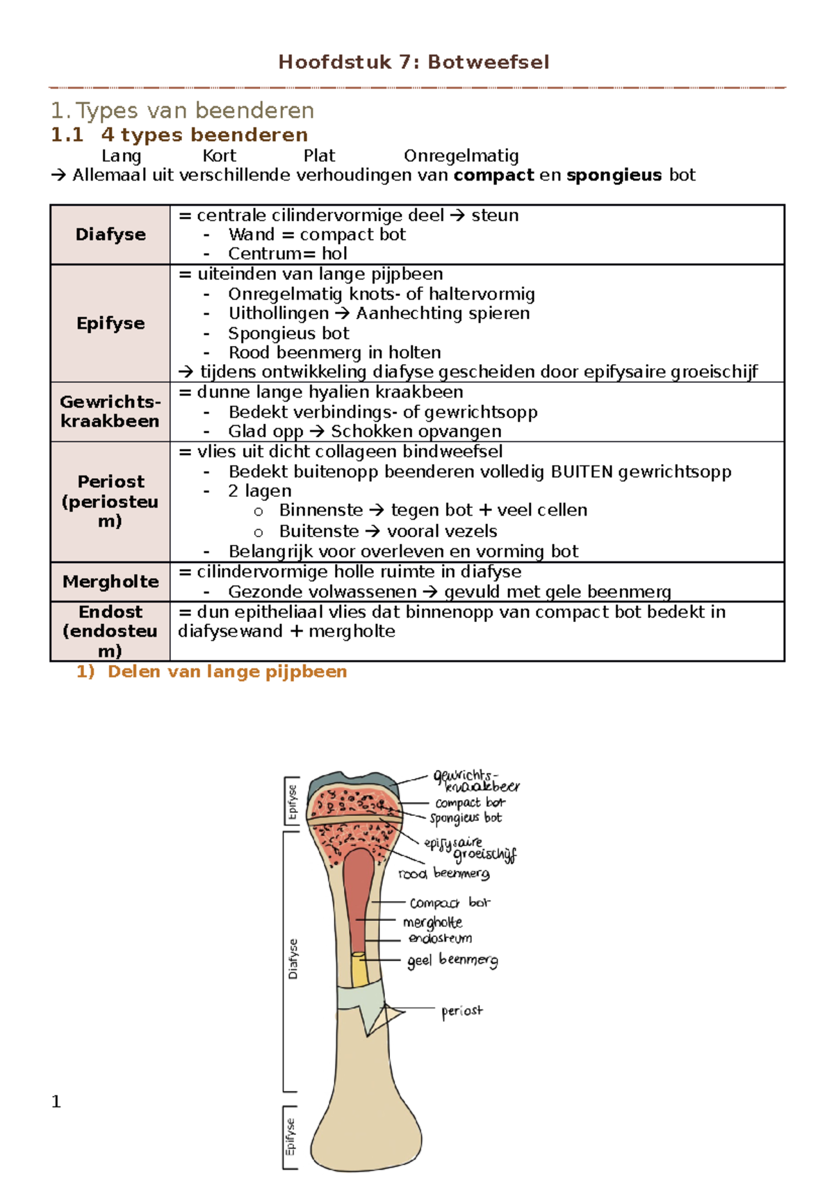 Hoofdstuk 7- Botweefsel samenvatting - Hoofdstuk 7: Botweefsel 1. Types ...