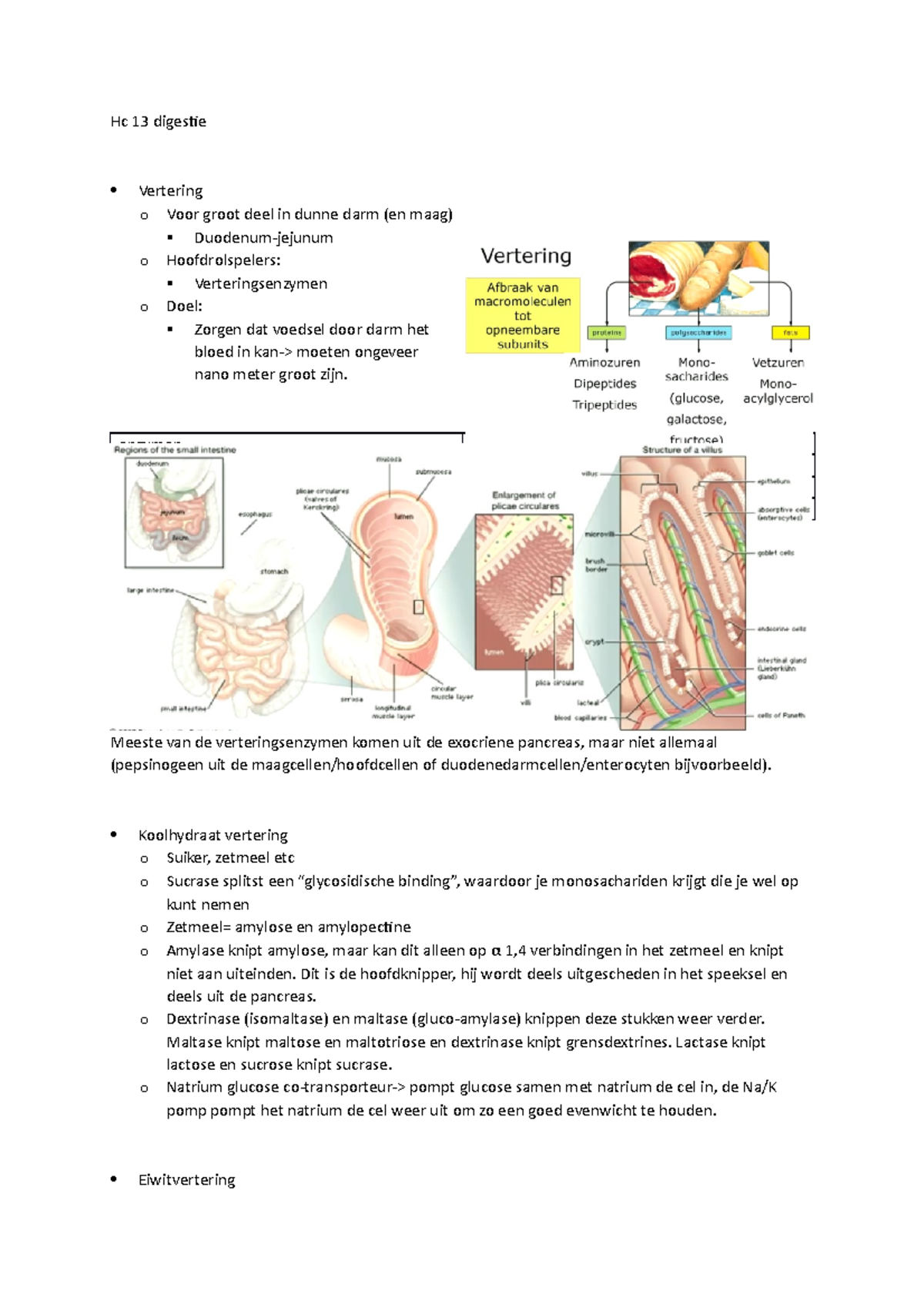 Hc 13 digestie - samenvatting hc13 - Hc 13 digestie Vertering o Voor ...